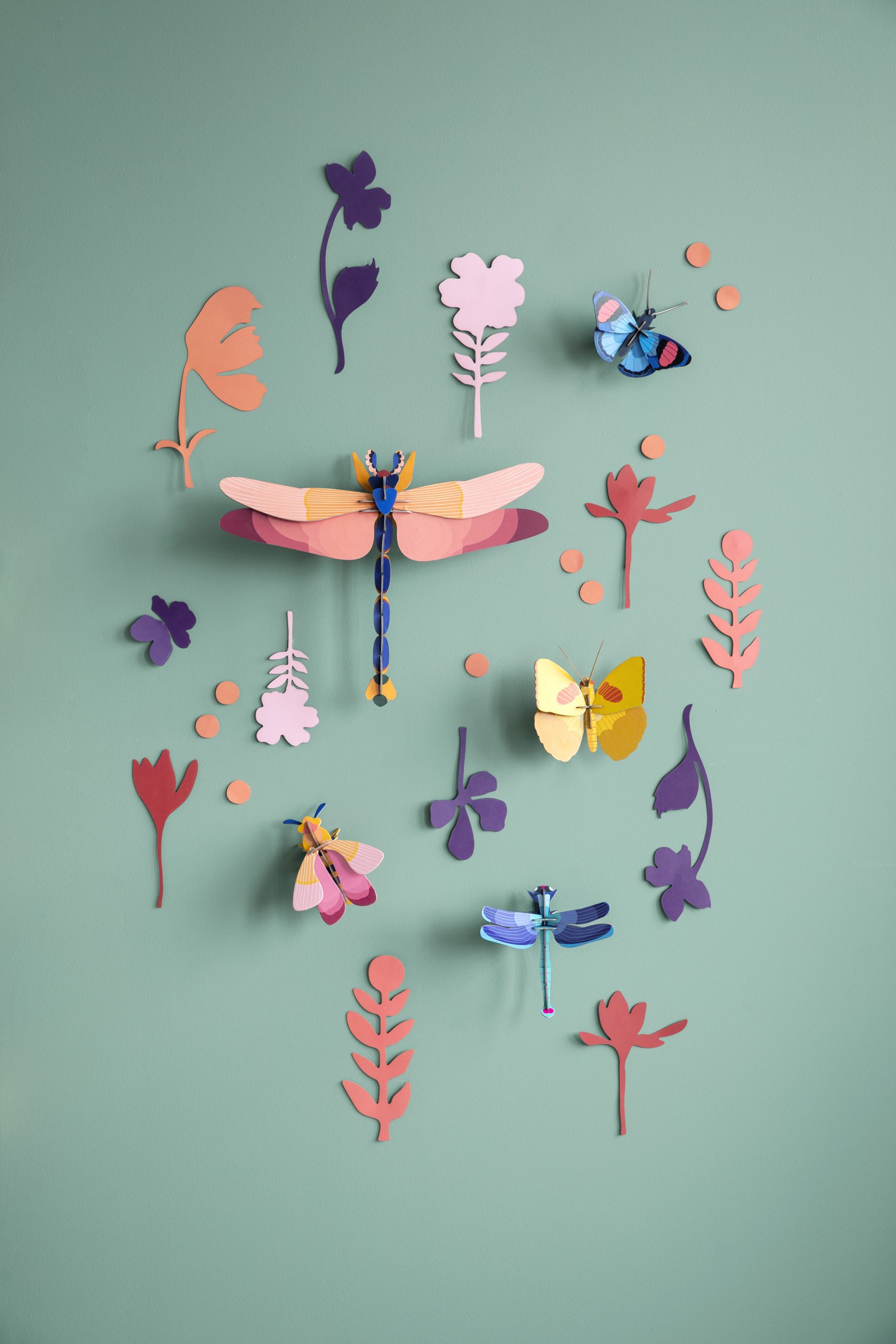 Dynamic Distribution - Studio Roof Wall of Curiosities Boxed Set ...